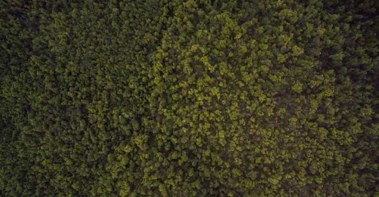 Millar Western - A Resourceful Company™