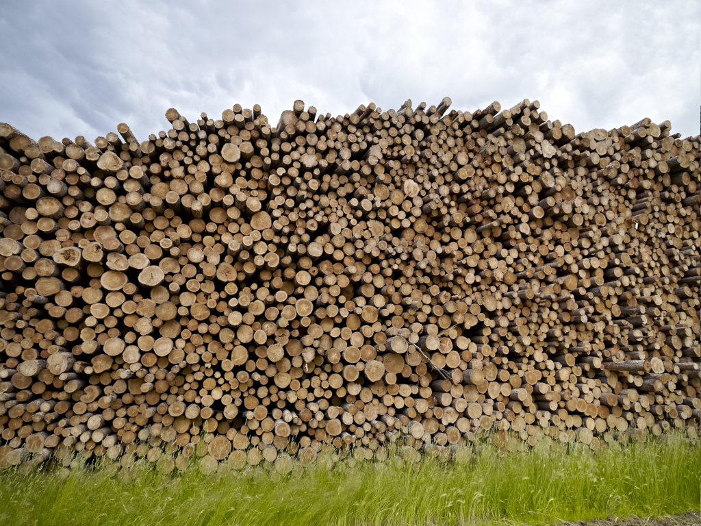 Mills - Millar Western