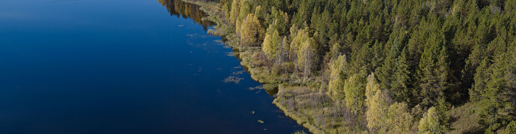 Company - Millar Western