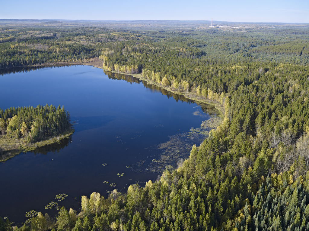 Environment - Millar Western