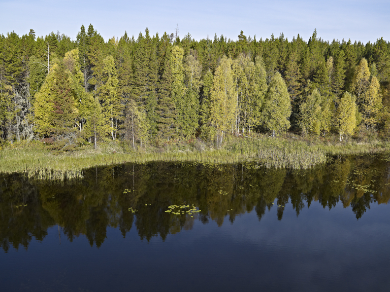 Current Openings - Millar Western