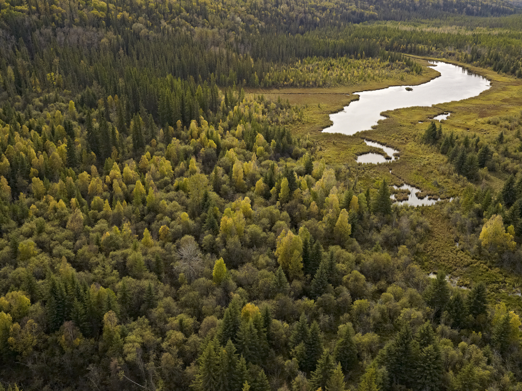 People - Millar Western