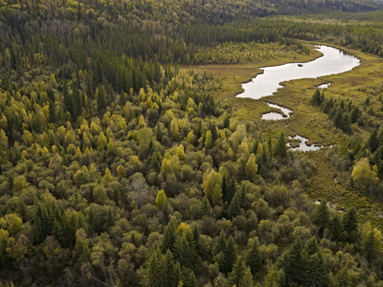 People - Millar Western