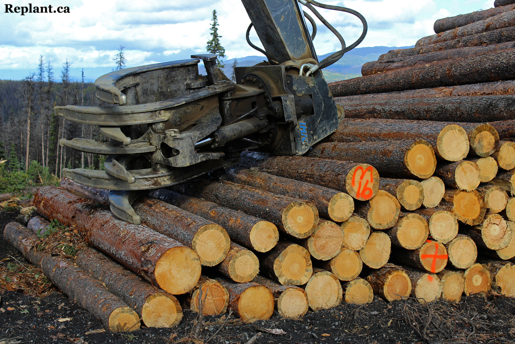 Forest Management Areas - Millar Western