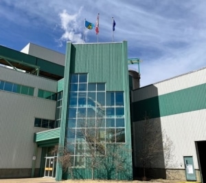 Acquisition of Pulp Mills, related Woodlands, Sales & Logistics ...