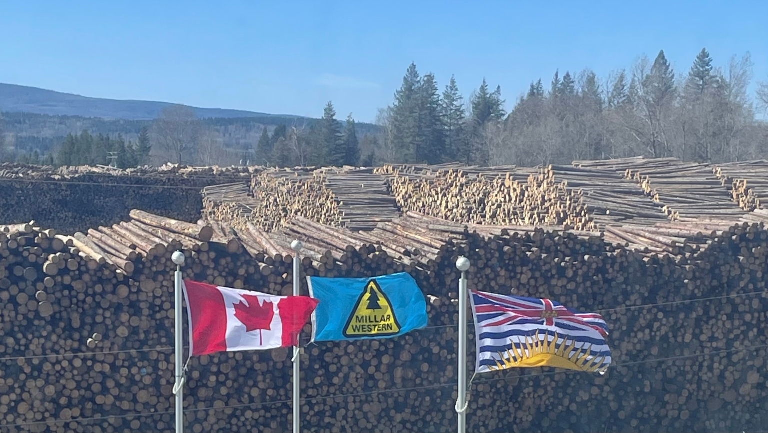 Acquisition of Pulp Mills, related Woodlands, Sales & Logistics ...